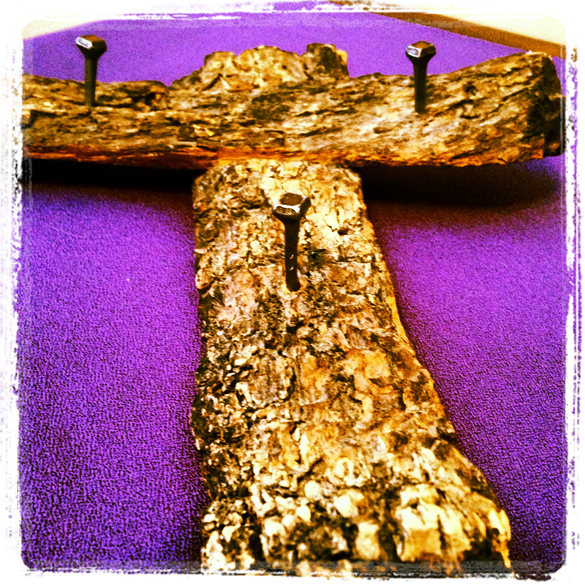 Urban Monastery | Visitation Monastery of Minneapolis